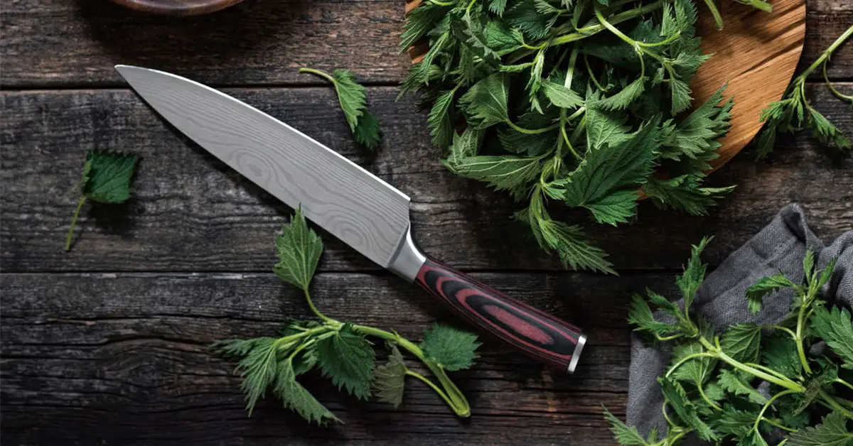 4 Tips for caring for your kitchen knives - Trading Pieces